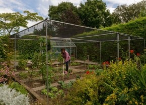 Fruit & Vegetable Cages - Harrod Horticultural