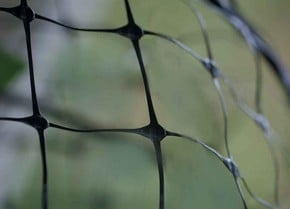 Garden & Plant Netting - Harrod Horticultural