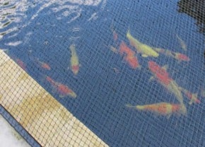 Pond Protection Covers & Netting - Harrod Hoticultural