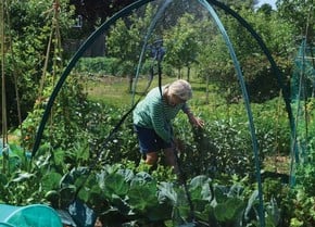 Garden & Plant Netting - Harrod Horticultural
