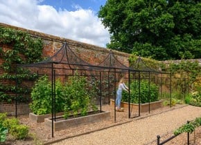 Fruit & Vegetable Cages - Harrod Horticultural