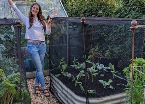 Fruit & Vegetable Cages - Harrod Horticultural