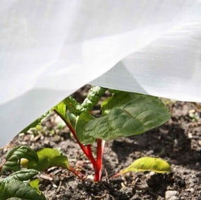 Garden & Plant Netting - Harrod Horticultural