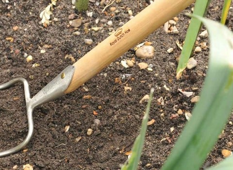 Garden Hoes - Gardening Tools at Harrod Horticultural