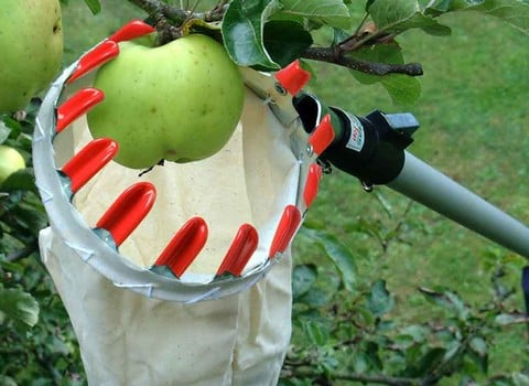 Harvesting Tools - Harrod Horticultural