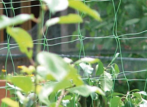 Pea and Bean Netting - Garden Netting at Harrod Horticultural