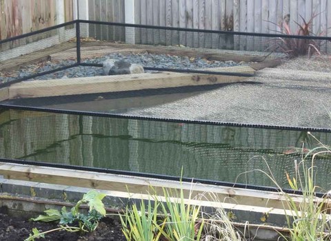 Pond Protection Covers & Netting - Harrod Hoticultural