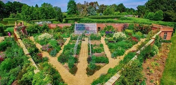 Gardening Help & Advice Hub - Harrod Horticultural