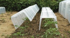 Where to Grow - Garden Planning at Harrod Horticultural