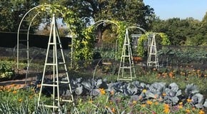 Products on Display - Harrod Horticultural