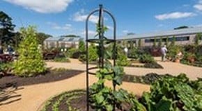 Products on Display - Harrod Horticultural