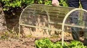 Garden Blog - Harrod Horticultural