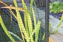 Raised Steel Pond Cover - Harrod Horticultural - UK