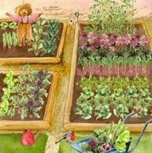 Allotment Constant Garden - Harrod Horticultural