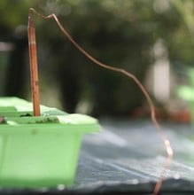 Propagation Heating Mats - Harrod Horticultural (UK)