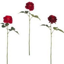 Velvet Red Roses by Sia (set of 3) - Harrod Horticultural