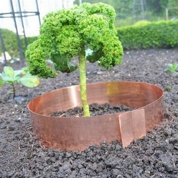 Giant Slug Banned Copper Ring - Harrod Horticultural