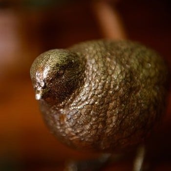 Gold Partridge Decorations by Gisela Graham - Harrod Horticultural
