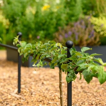 Harrod Step Over Support - Plant Supports at Harrod Horticultural