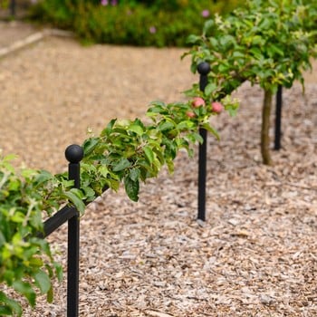 Harrod Step Over Support - Plant Supports at Harrod Horticultural