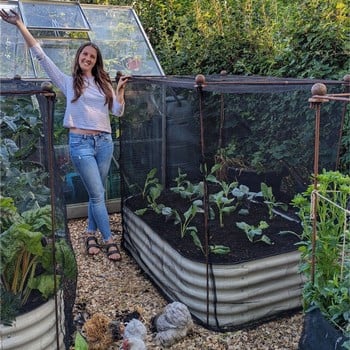 Vegetable Cages - Plant Protection by Harrod Horticultural