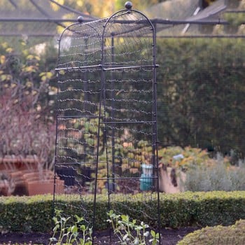 Vegetable Support Frames - Harrod Horticultural