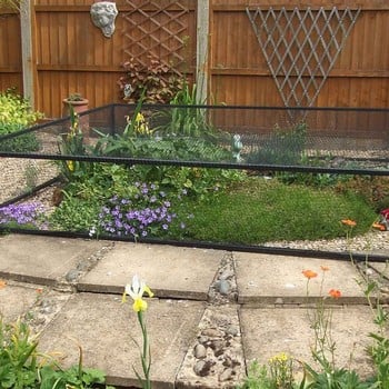 Pond Covers - Harrod Horticultural