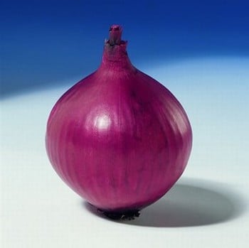 onion red colour