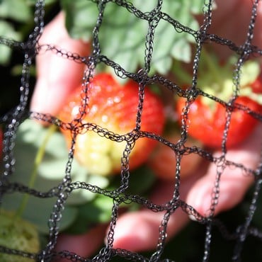 Harrod Easy Claw Net Pegs - Harrod Horticultural