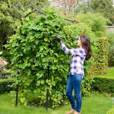Harrod Slot & Lock® Bean Column - Harrod Horticultural