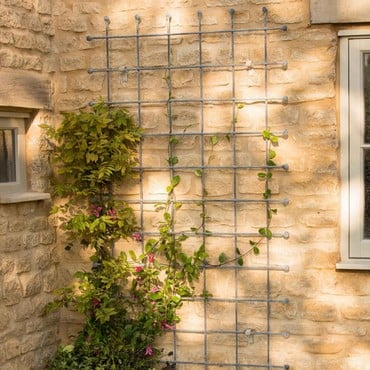 Metal Garden Trellis - Harrod Horticultural