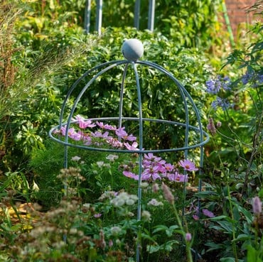 Sturdy Plant Supports - Harrod Horticultural