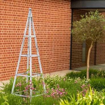 Garden Obelisks - Harrod Horticultural