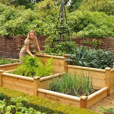 RHS Members Plan your kitchen or ornamental garden with Harrod ...