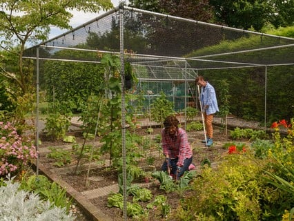 Aluminium Fruit Cages - Plant Protection at Harrod Horticultural