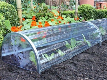 Cloches & Cold Frames - Garden Supplies by Harrod Horticultural