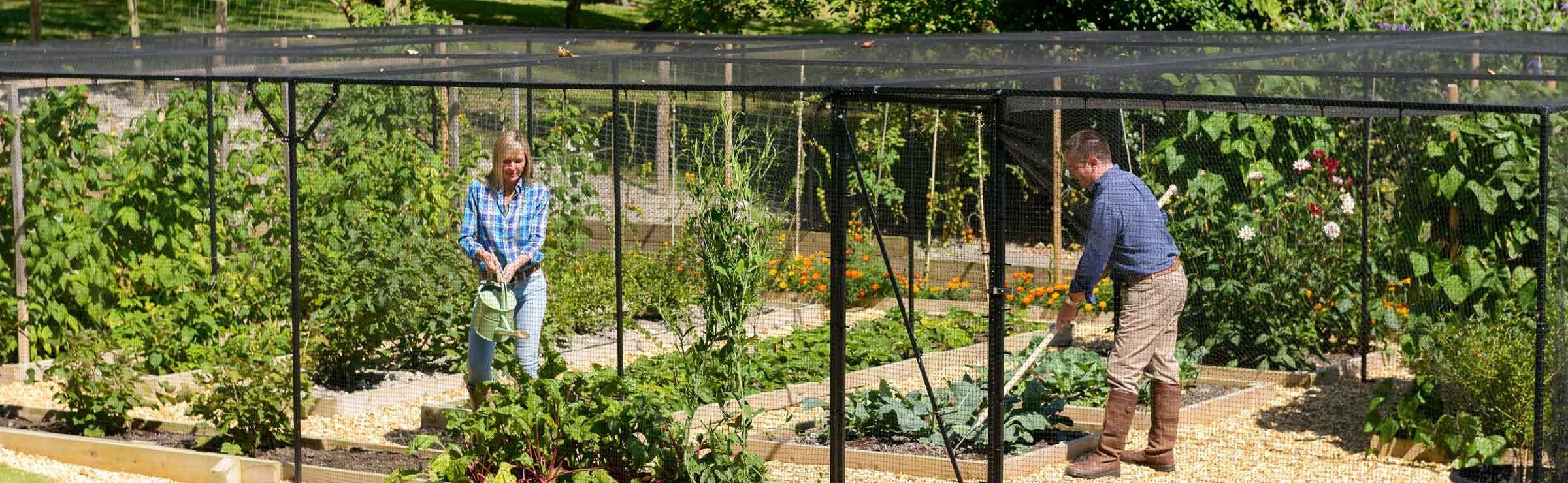 Fruit & Vegetable Cages - Harrod Horticultural