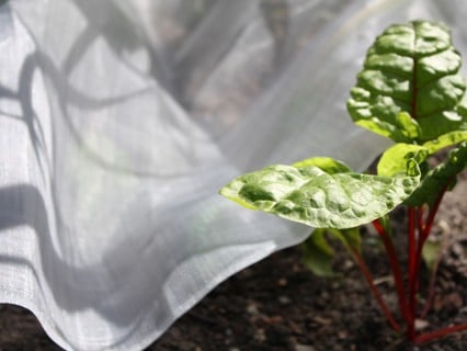 Garden Netting at Harrod Horticultural