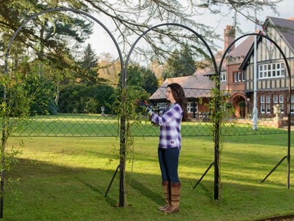 Garden Screens by Harrod Horticultural