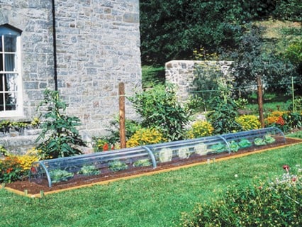 Cloches - Plant Protection at Harrod Horticultural