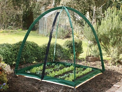 Popadome Crop Covers - Harrod Horticultural