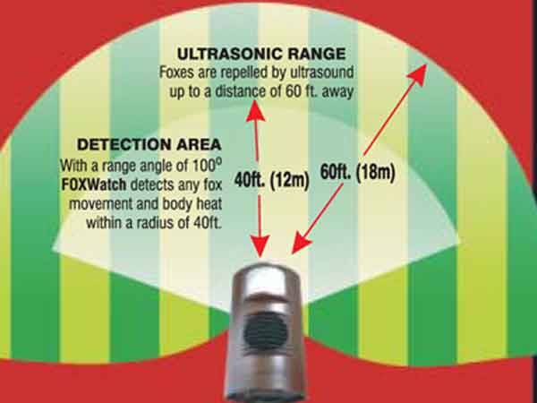 Fox Watch Pest Deterrent from Harrod Horticultural