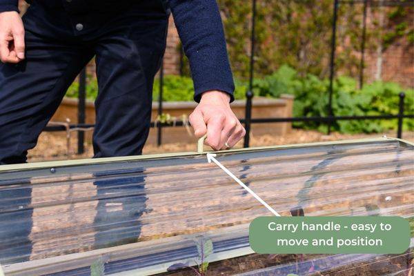 Harrod Longrow Cloche - Harrod Horticultural