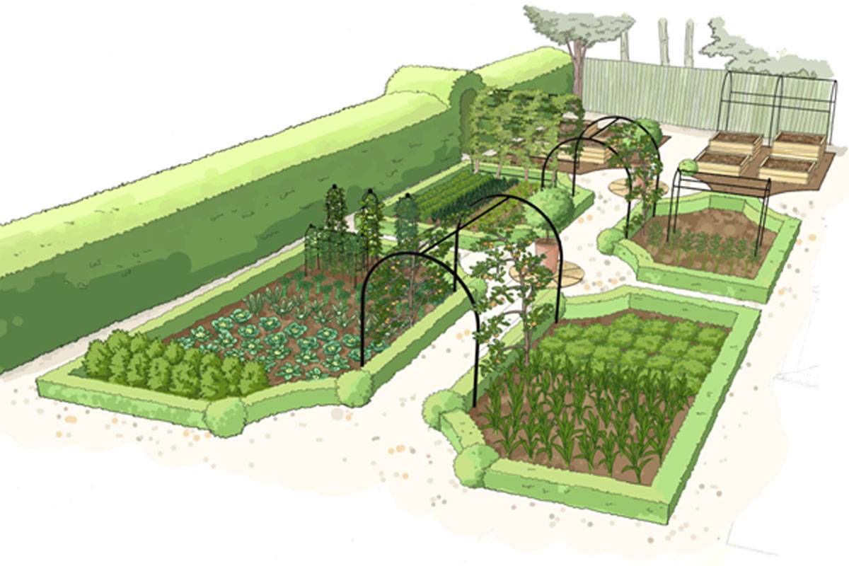 Kitchen Garden - Planning for 2024 - Harrod Horticultural