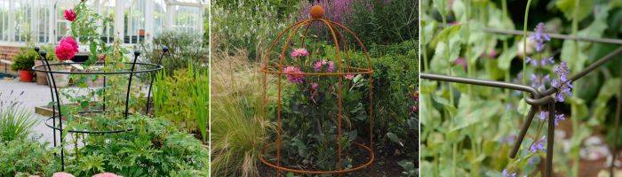 Top 10 Plant Supports by Harrod Horticultural