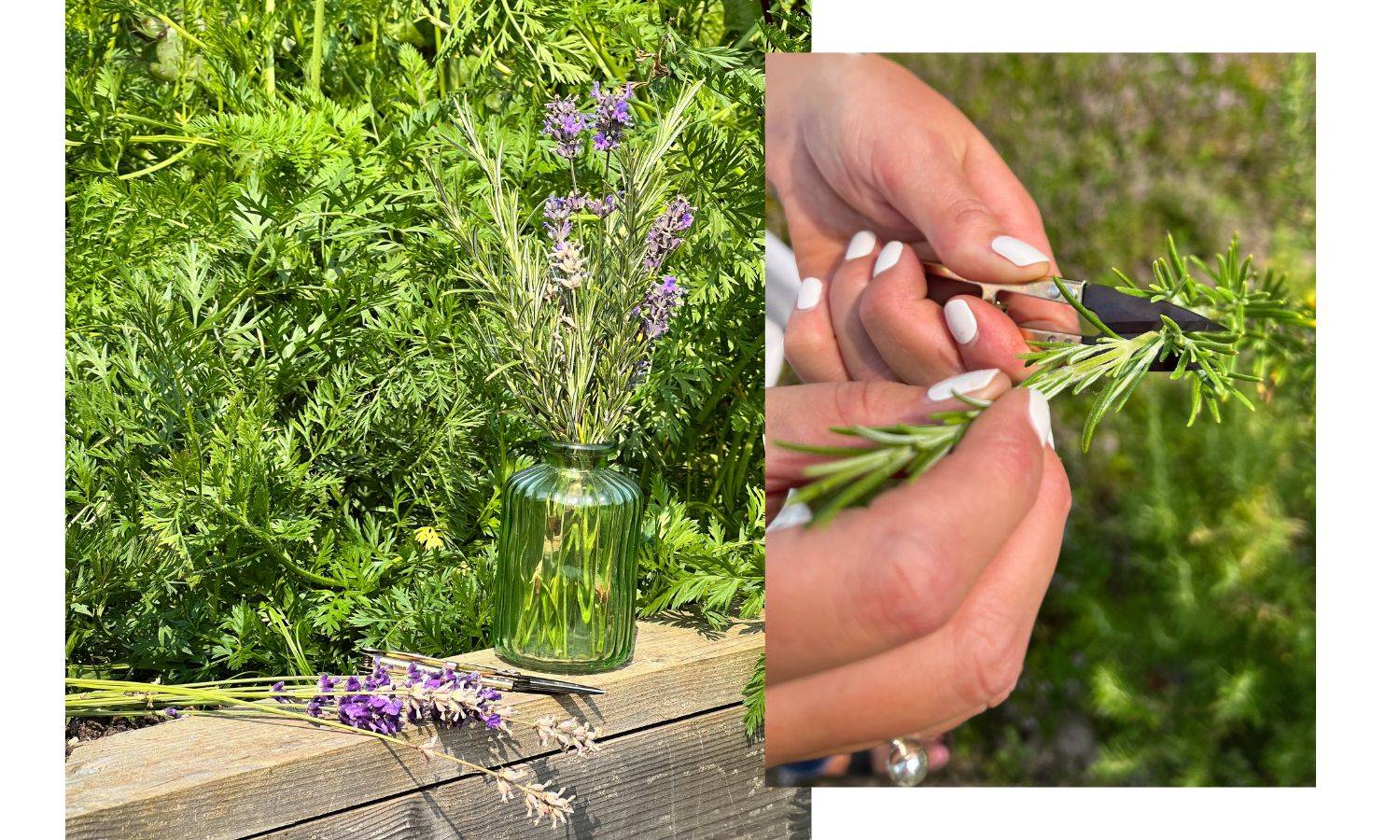 Keeping Bugs and Pests at Bay with Lavender and Rosemary Posies from ...