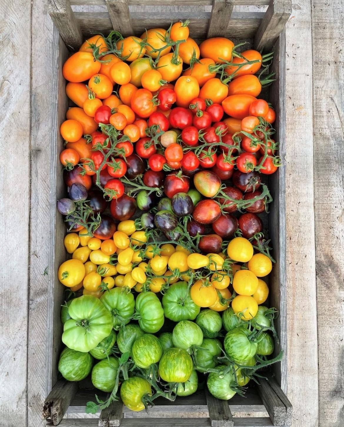 Organic Growing with Anna Greenland! Q&A - Harrod Horticultural