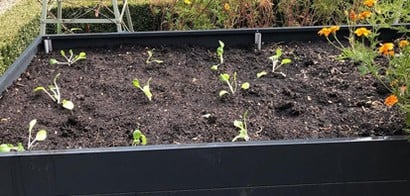 A Change in the weather - Harrod Horticultural