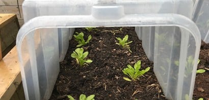 A month of unpredictable weather - Harrod Horticultural