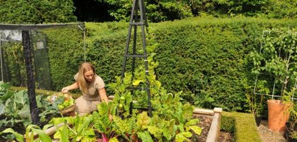 Garden Supplies - Tools & Equipment at Harrod Horticultural